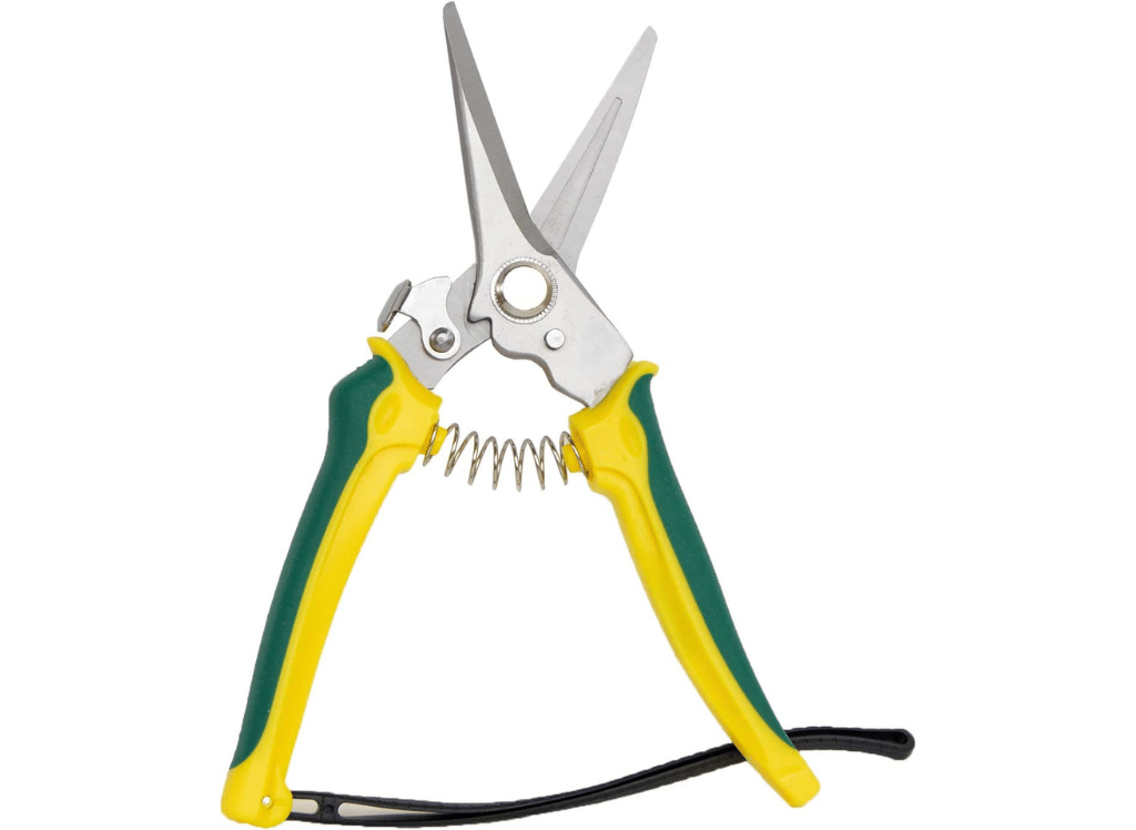 Get Professional Results Using the Top 5 Goat Hoof Trimmers