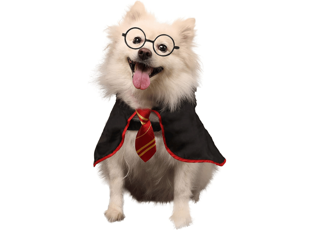 5 Magical Ways to Transform Your Pet With a Harry Potter Dog Costume