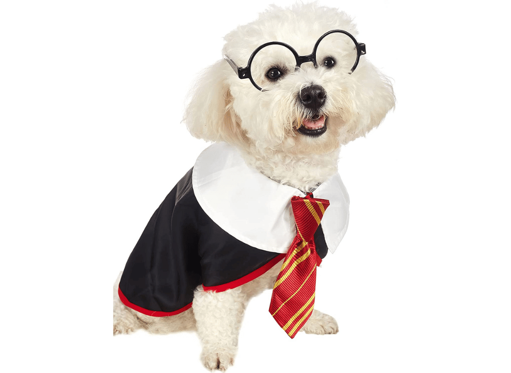 5 Magical Ways to Transform Your Pet With a Harry Potter Dog Costume