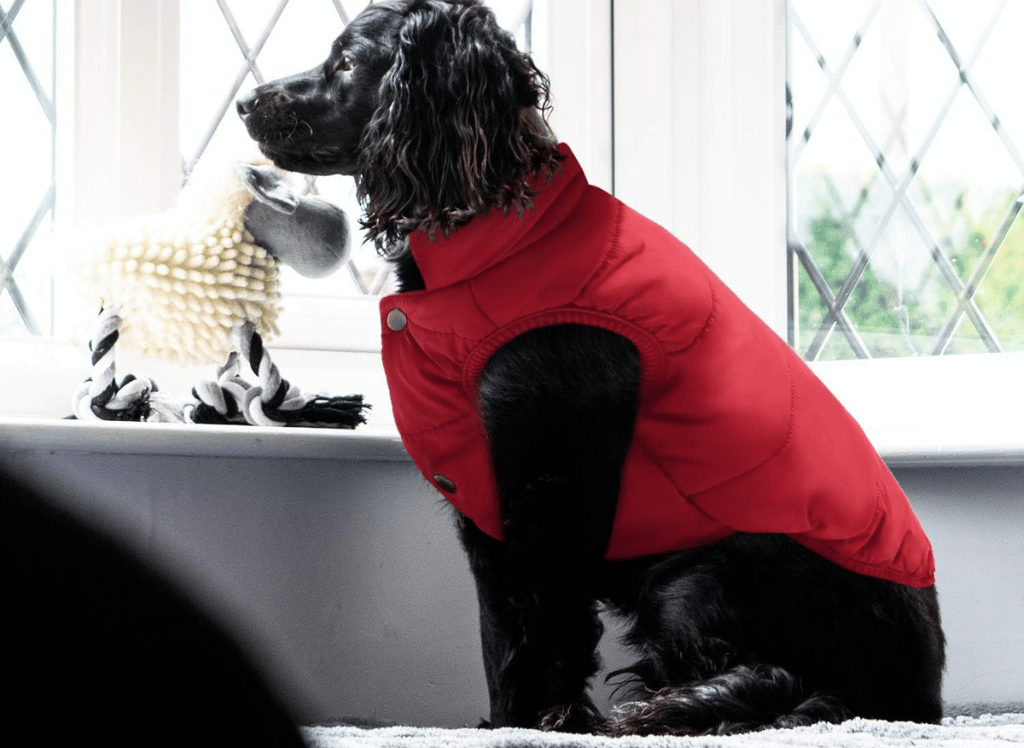 The 8 Coziest Dog Puffer Jacket Picks Your Furry Friend Will Love