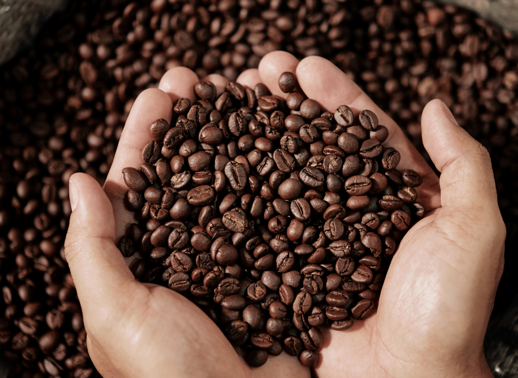 Decaf Delight: 5 Best Decaf Coffee Experiences Minus the Jitters!