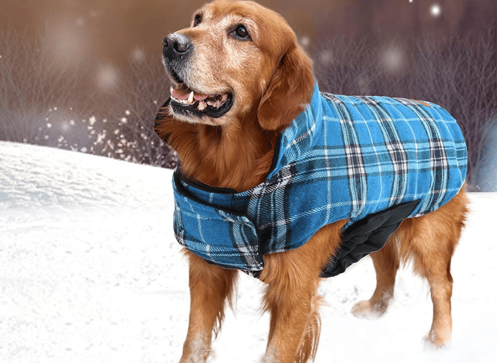 The 8 Coziest Dog Puffer Jacket Picks Your Furry Friend Will Love